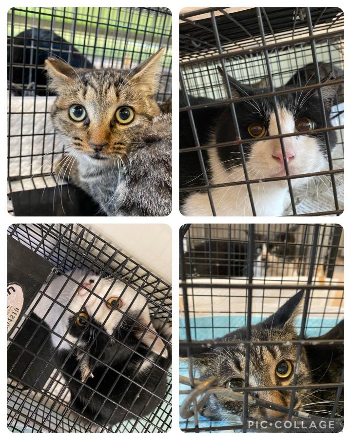 活動報告 | あだち協働パートナーサイト